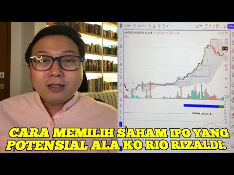 CARA MEMILIH SAHAM IPO YANG POTENSIAL ALA KO RIO RIZALDI - YouTube