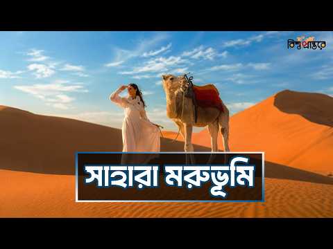 সাহারা মরুভূমি আসলে কতটা ভয়ংকর? জানুন অবিশ্বাস্য সব রহস্য | Sahara Desert | Bangla Documentary