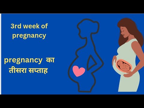 3rd week of pregnancy - YouTube