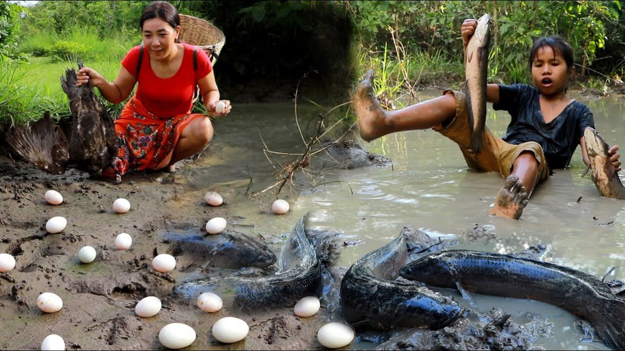 Catch fish with duck and pick egg for food- Grilled fish spicy for ...