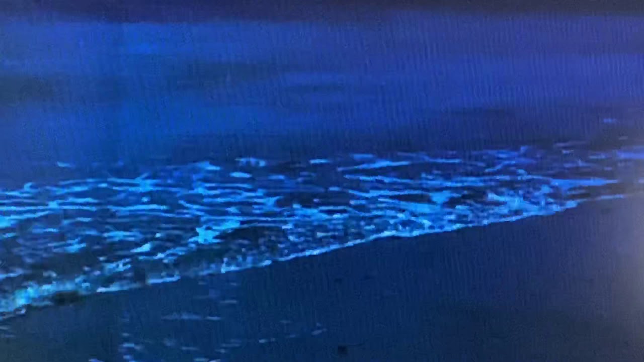 June 3, 2020 - YouTube