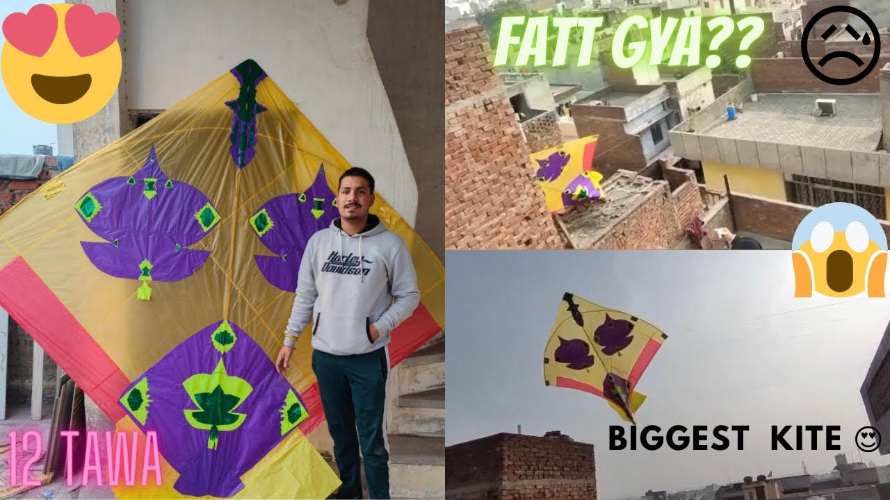 12 tawa kite flying😍||big kite flying ️|| big kite flying in amritsar🪁 ...