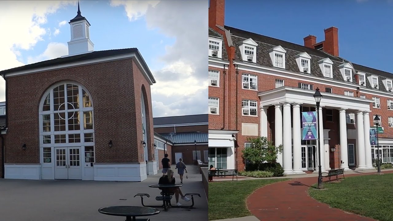 Boyd vs. Nelson: Students share their favorite dining hall - YouTube