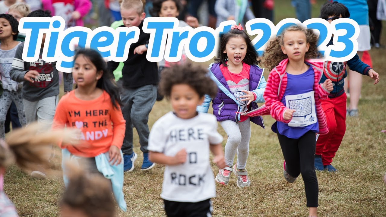 Tiger Trot Donation Message - YouTube