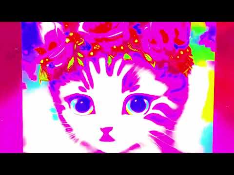 PRETTY KITTY IN THE LAND OF PRETTY PRETTY 