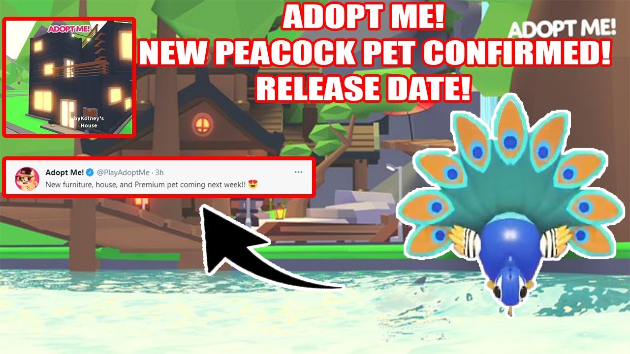 ADOPT ME NEW PEACOCK PET CONFIRMED 2021-NEW HOUSE AND FURNITURE COMING ...