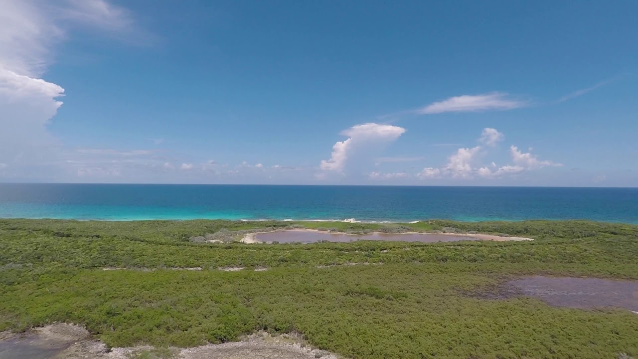 BONDS CAY, BERRY ISLANDS IN THE BAHAMAS | IRIE CAT - YouTube
