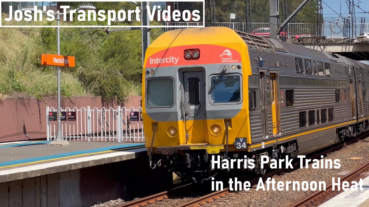 JTV Vlog 46: Harris Park Trains in the Afternoon Heat - YouTube
