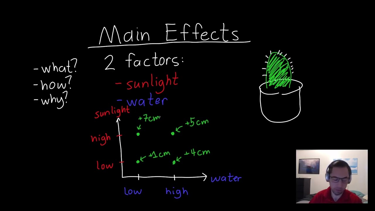 Main Effects Explained - YouTube