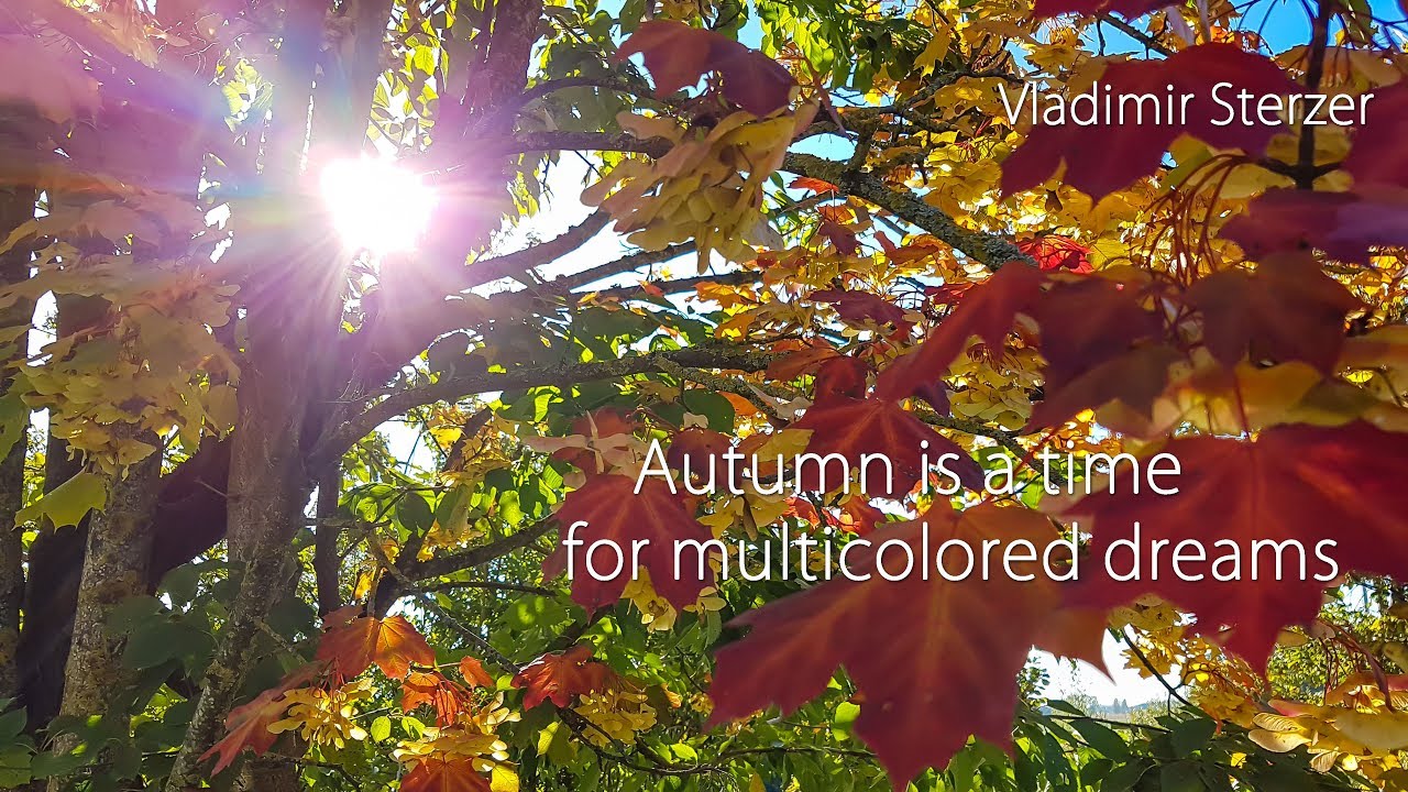 Autumn is a time for multicolored dreams Beautiful piano instrumental ...