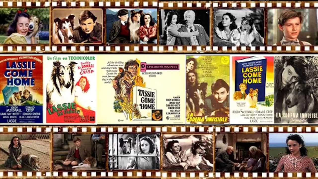 |* IMAGINATION \* FLASHBACK |* [Disco Funk Fever] Lyrics - YouTube