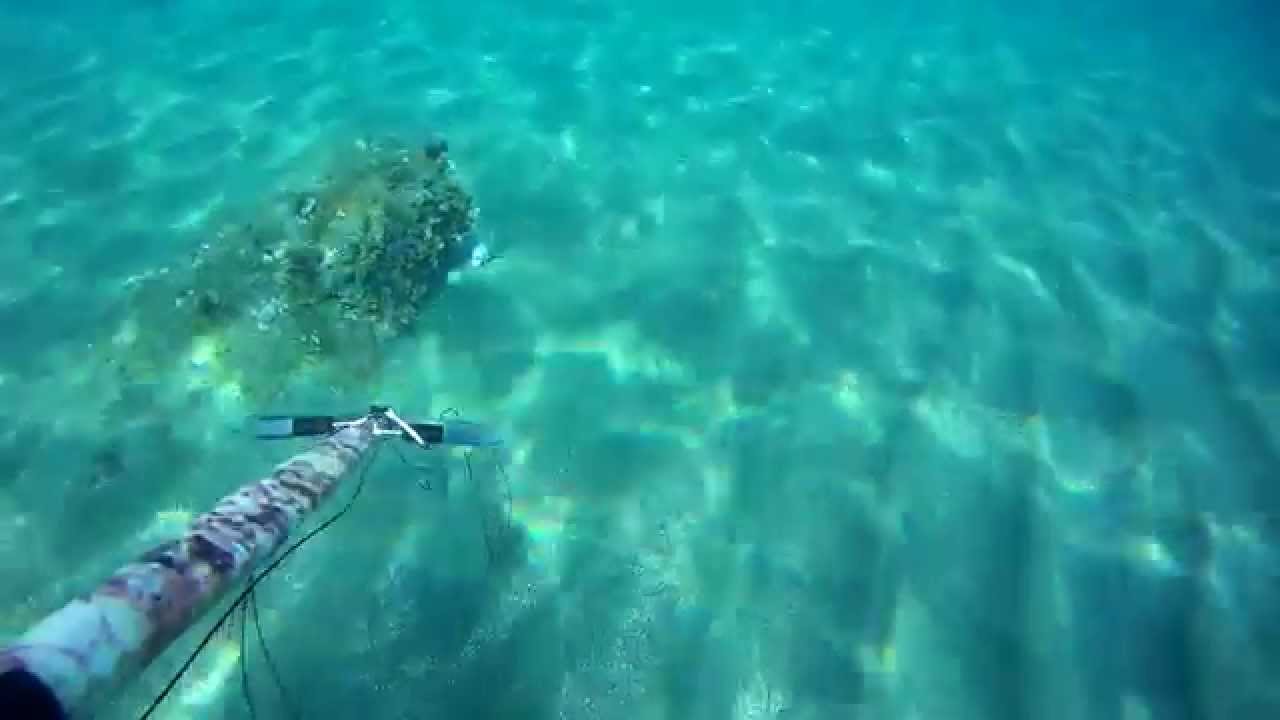 Ψαροντουφεκο λαβρακι απριλιος 2015 perfect shot - YouTube