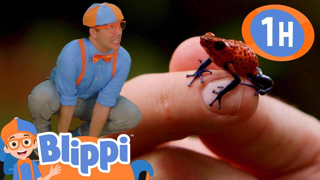 Blippi's Brave Wilderness Adventure! 🐾🌳 Exploring the Wild Side ...