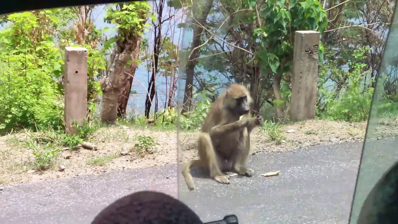 Driving in M1 Road Malawi (Chiweta, Rumphi) - YouTube