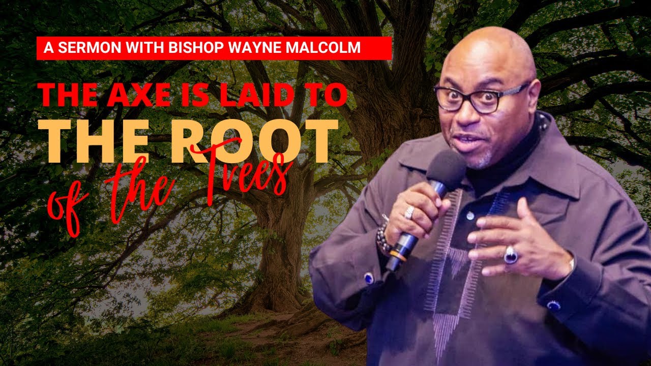 The Root of the Trees with Bishop Wayne Malcolm - YouTube