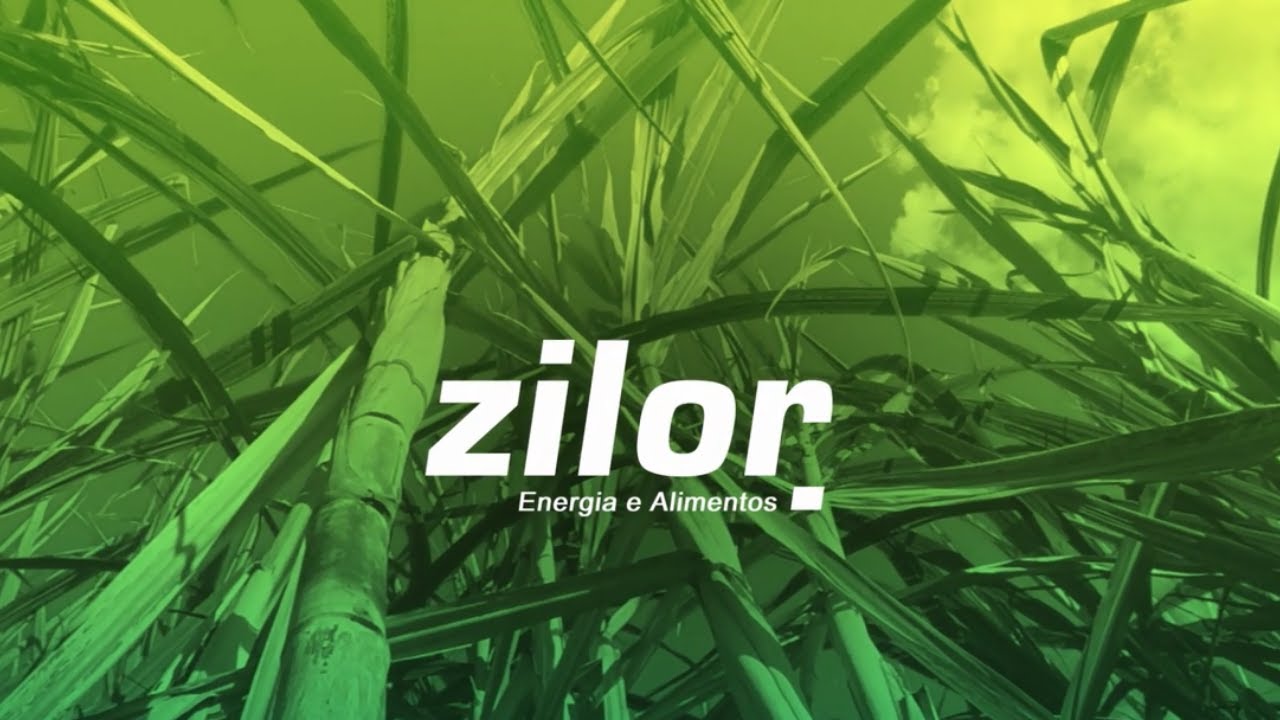 Zilor - Vídeo Institucional 2021 - Legendado (EN) - YouTube