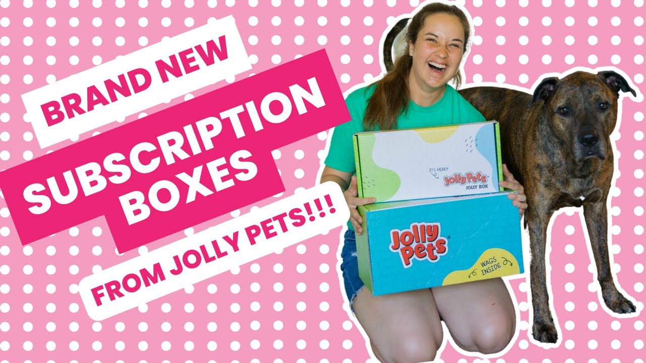 Jolly Pets Jolly Box Dog Subscription Box Review - YouTube