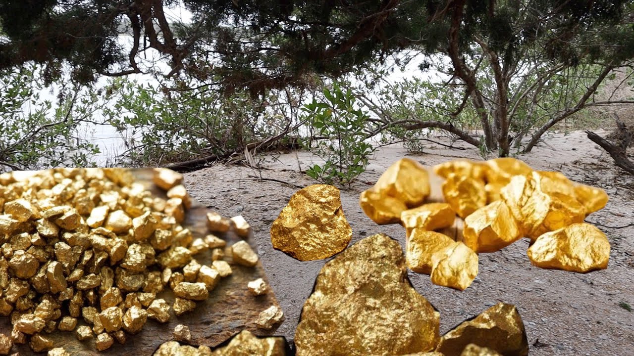 At night water up and morning water down . found much Gold. - YouTube