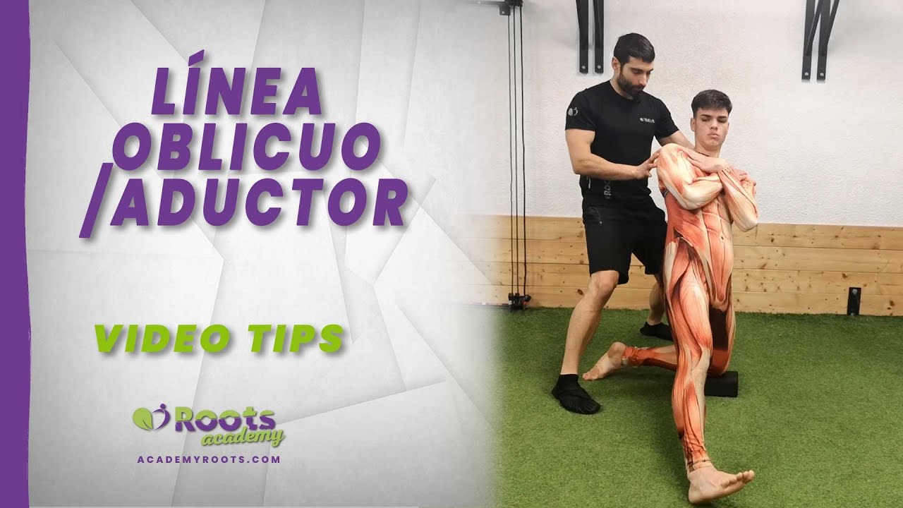 🎥 ¿Conoces la línea Oblicuo/aductor? - Roots videotips ⁣⁣ - YouTube