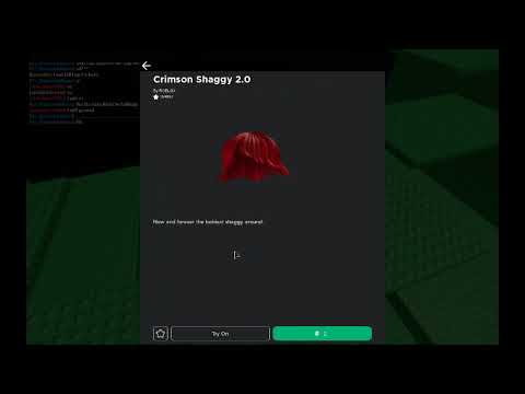 2 robux for the shaggy hair - YouTube