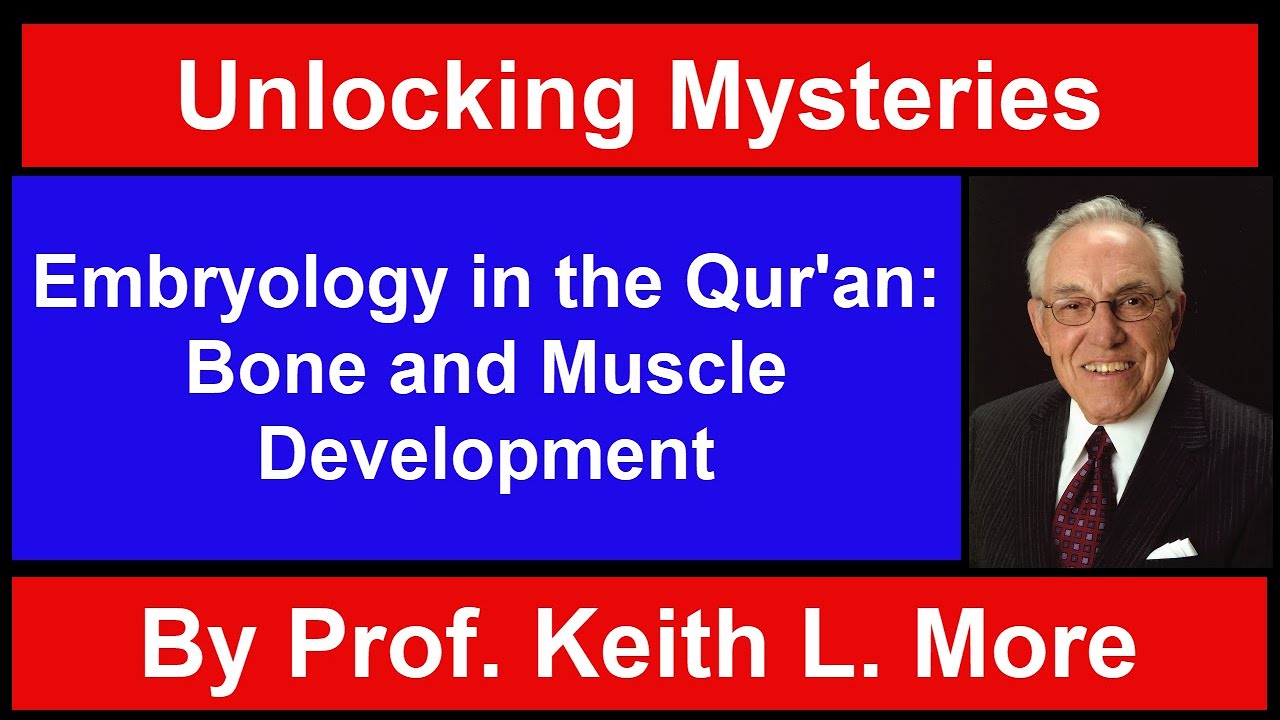 Embryology in the Qur'an - the sequence of Bone and Muscle development ...
