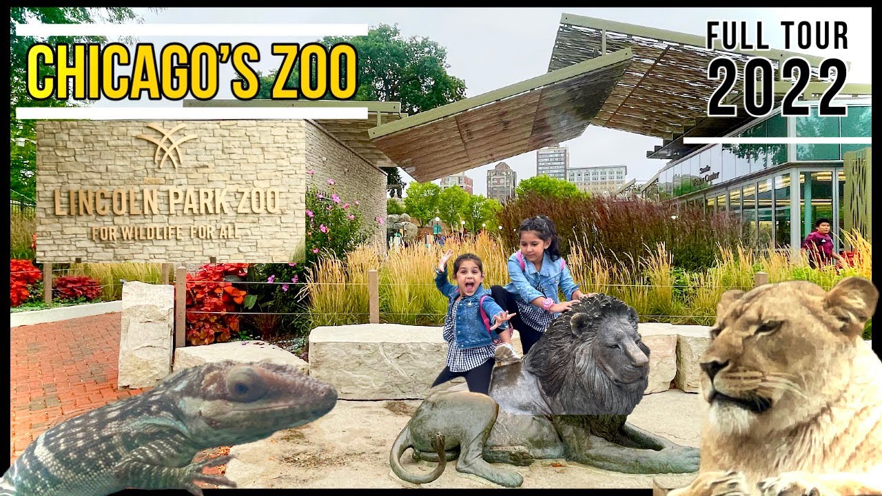 Lincoln Park Zoo | zoo in Chicago | Chicago zoo | Lincoln park zoo full ...