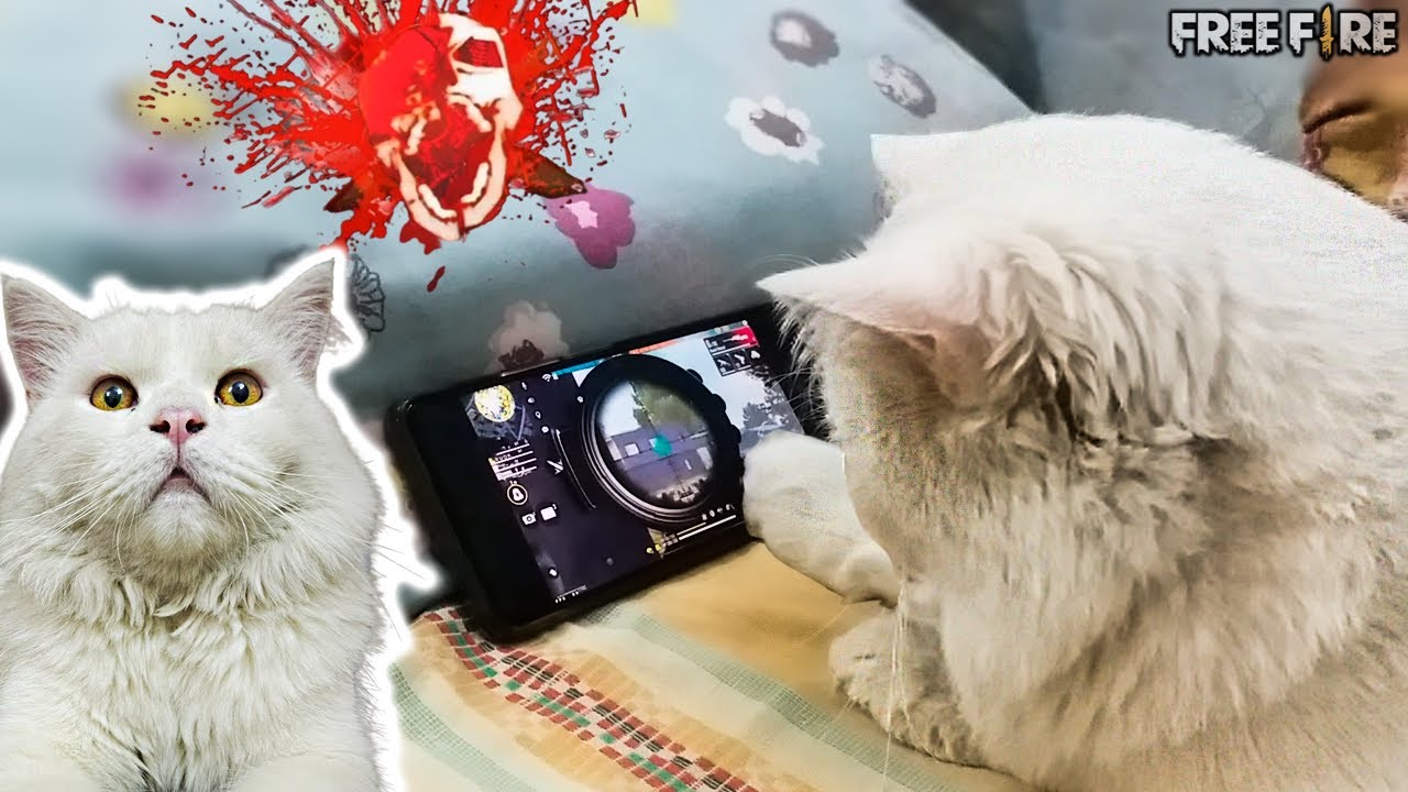 CAT PLAYING FREE FIRE - YouTube
