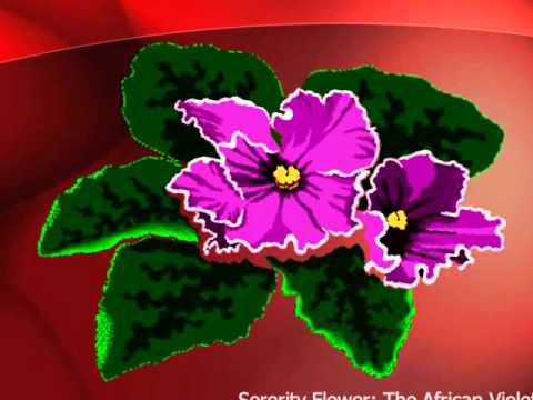 DST Movie.wmv - YouTube