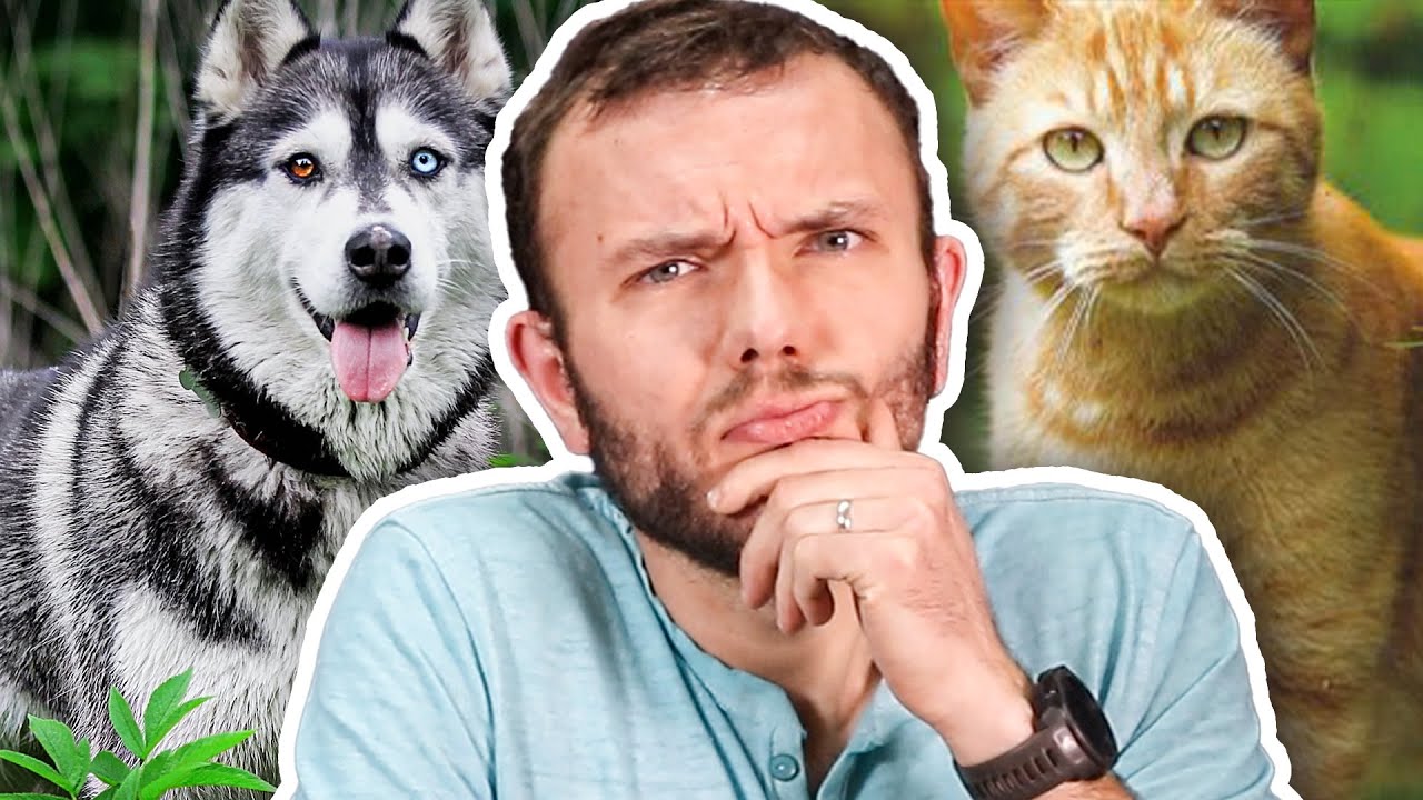 DOG PEOPLE VS CAT PEOPLE - YouTube