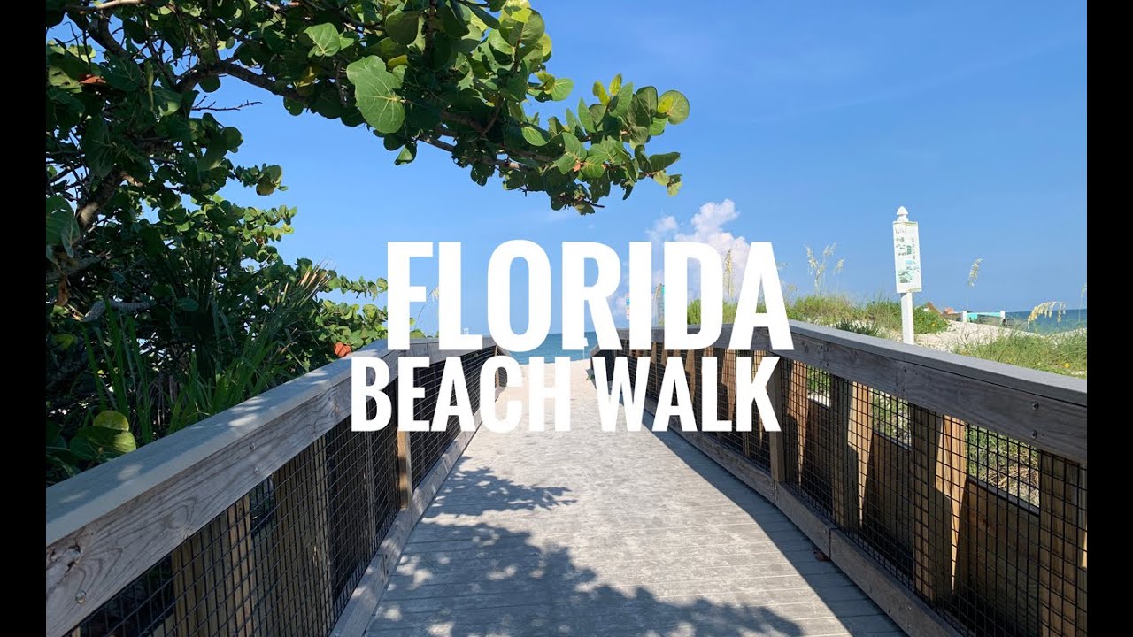 Florida Beach Walk (2024) - YouTube