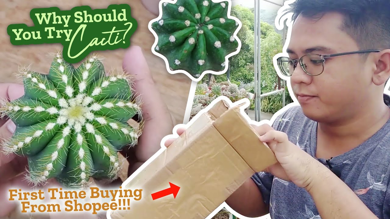 I Bought New Cacti from SHOPEE! (+Why You SHOULD TRY Growing Cactus!) 😯 ...