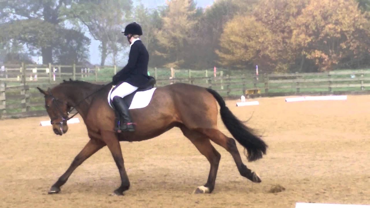 Sophie prelim 14 2nd affiliated 71% - YouTube