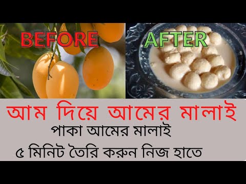 পাঁকা আমের তৈরি আমের মালাই/Mango Malay/आम/Mango Maleis/芒果/ (@Cookieswirlc ) مالائی/المانجو الملايو