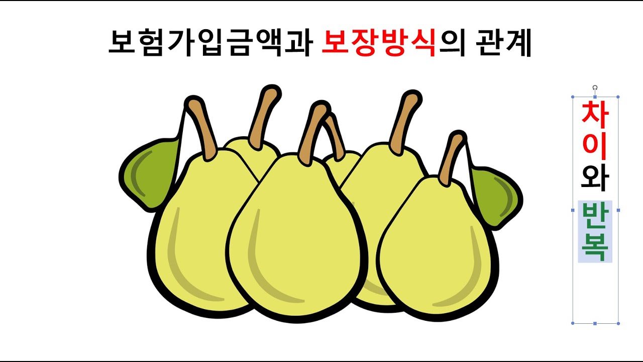 보험가입금액과 보장방식과의 관계(feat 피해율) - YouTube