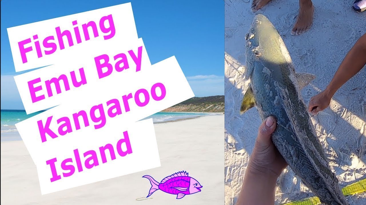 Australian Salmon Fishing Emu Bay Kangaroo Island, fishing South ...
