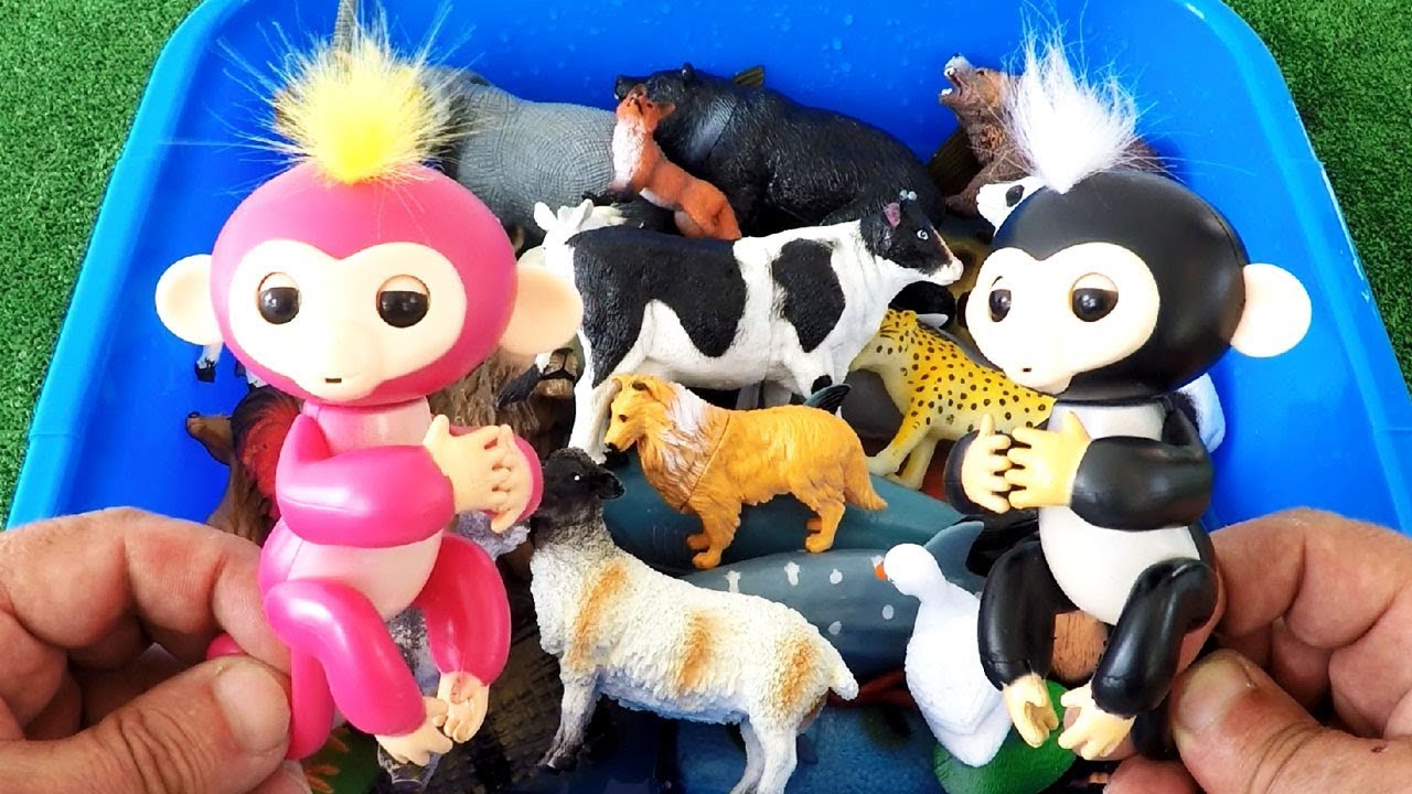 Learn Colors With Wild Animals Box of Toys and Farm animals Sea Animal ...