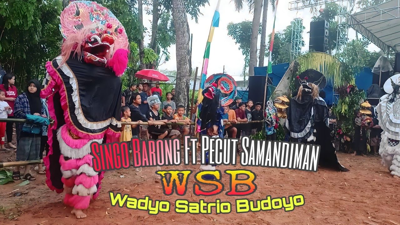 Pagelaran Singo Barong Ft Pecut Samandiman (WSB) || Wadyo Satrio Budoyo ...