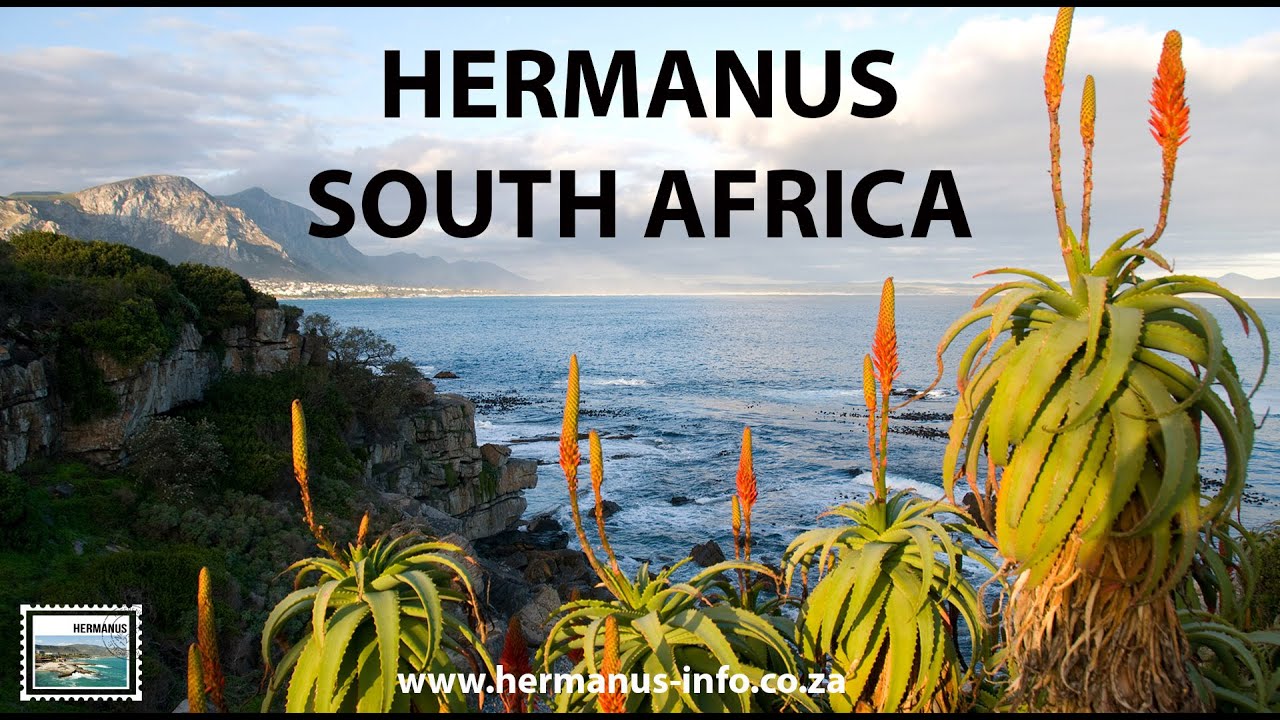 Hermanus - South Africa - YouTube