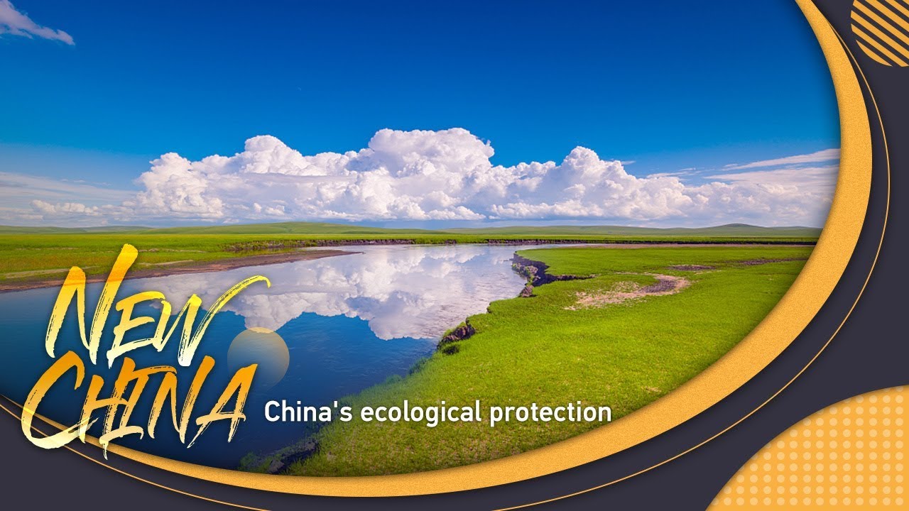 Live: China's ecological protection 中国生态保护 - YouTube