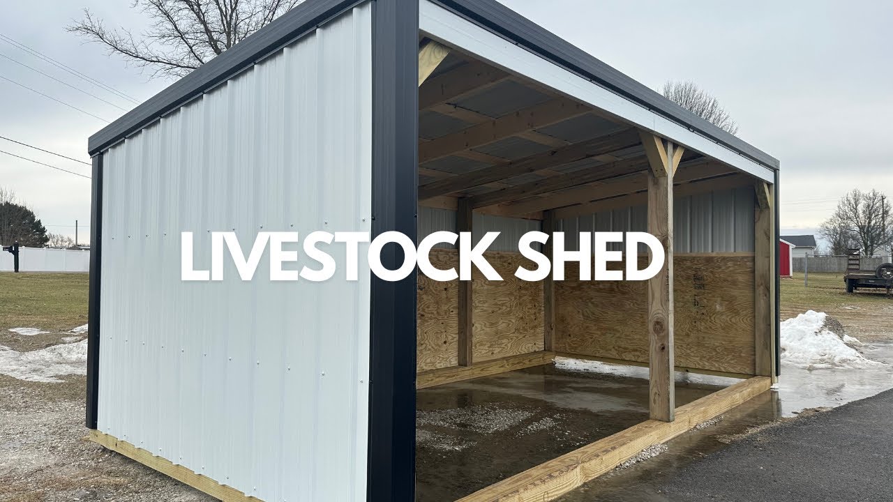 9x18 Livestock Shelter: plywood lined interior and 6x6 treated posts on ...