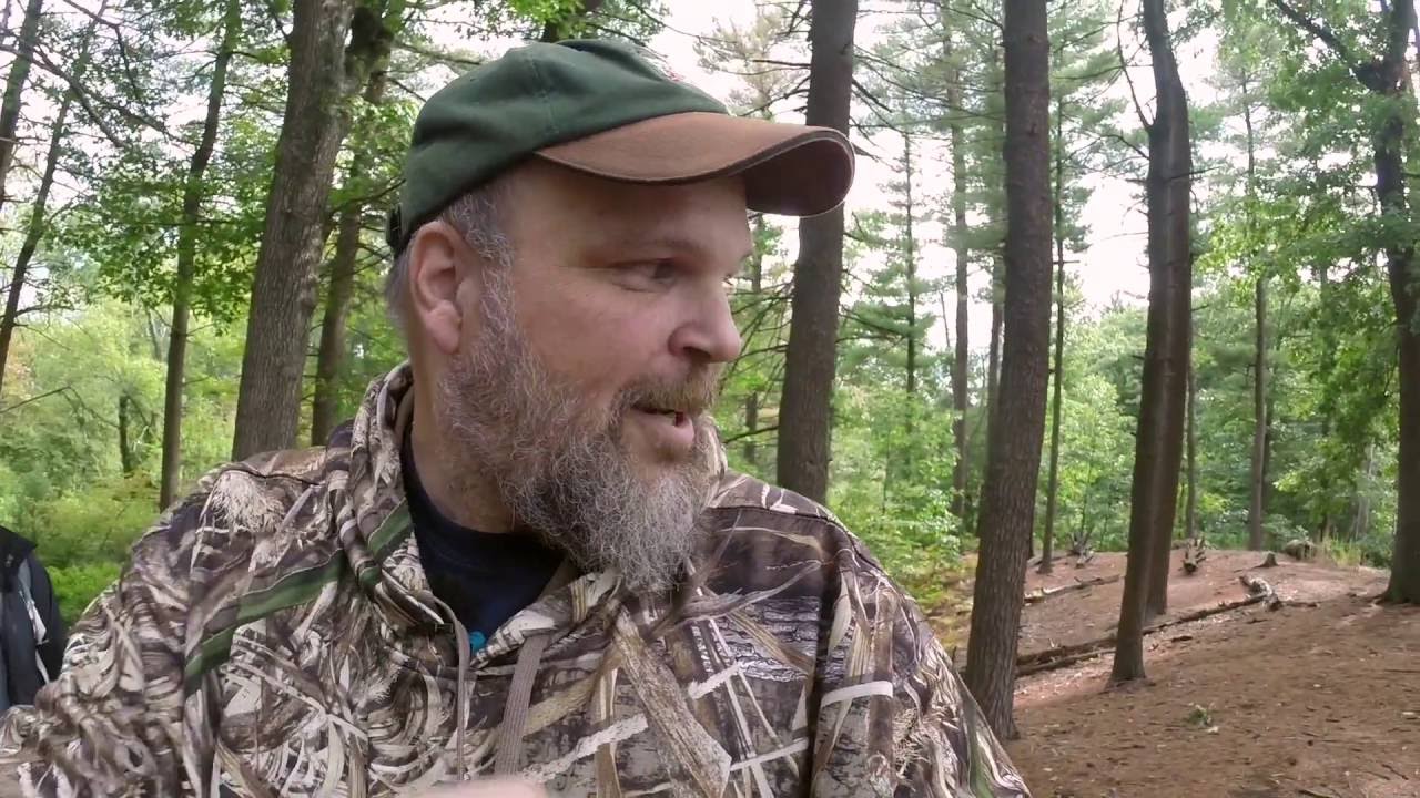 Leaf Litter Community - YouTube