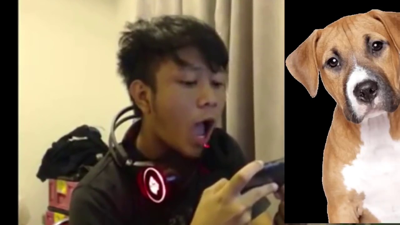 BINX BEST STREAMER AOV??? - YouTube