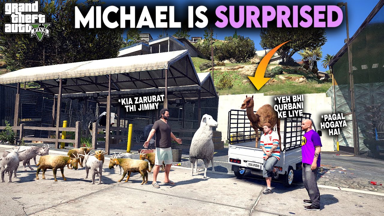 JIMMY SURPRISES MICHAEL WITH CAMEL AND SHEEP - (Mandi Series S04) - GTA ...