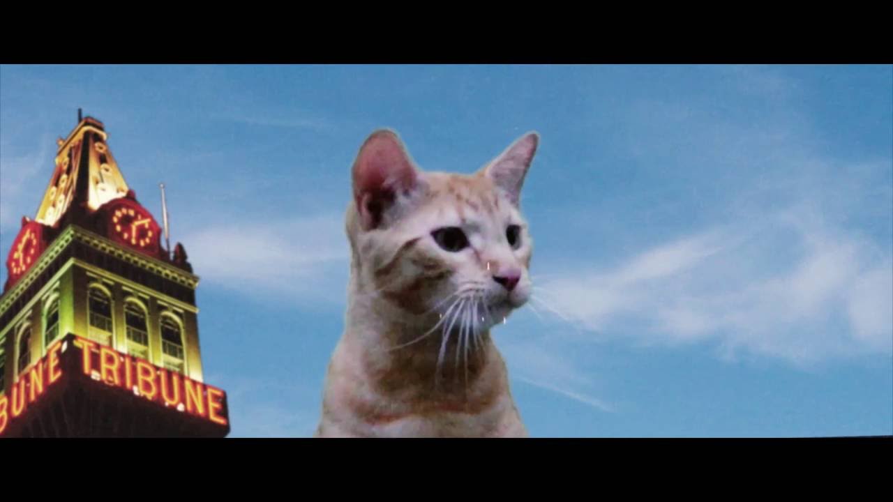 Catcations: Cat Man Goes To Japan - YouTube