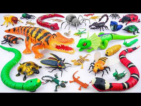 КОЛЛЕКЦИЯ ZURU ROBO ALIVE | РАСПАКОВКА Огромного робота-крокодила, Новая подборка RC Анаконда-кри...