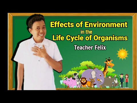 Effects of Environment in the Life Cycle of Organism | Science Grade 4 ...