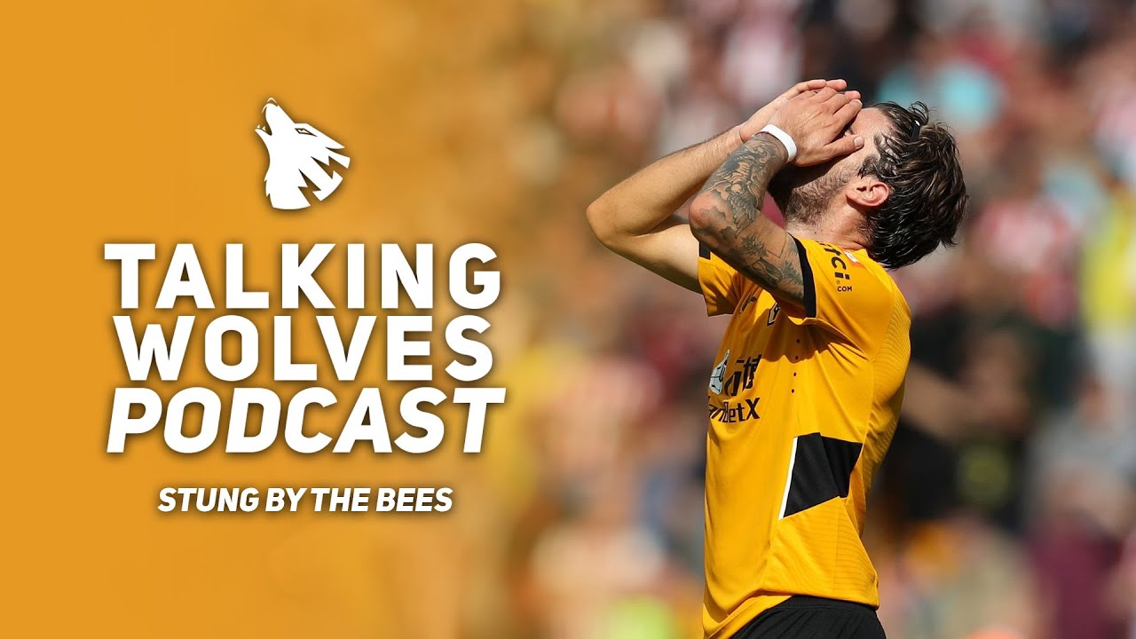 Talking Wolves Podcast - Stung By The Bees - YouTube