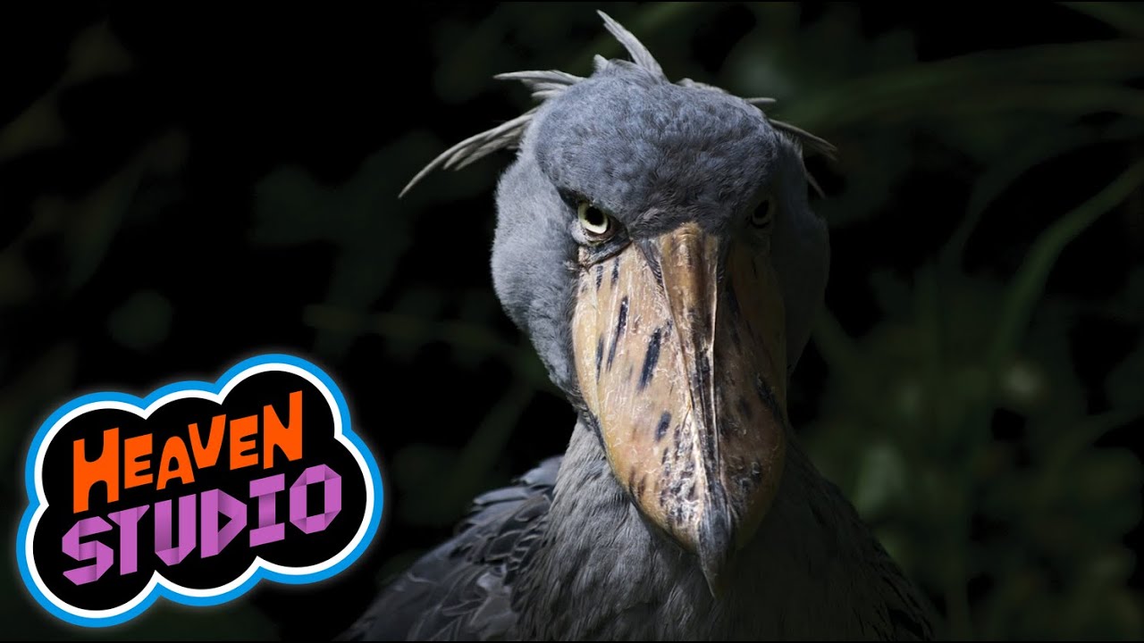 Rhythm Heaven Custom Remix - Shoebill (Timotainment) - YouTube