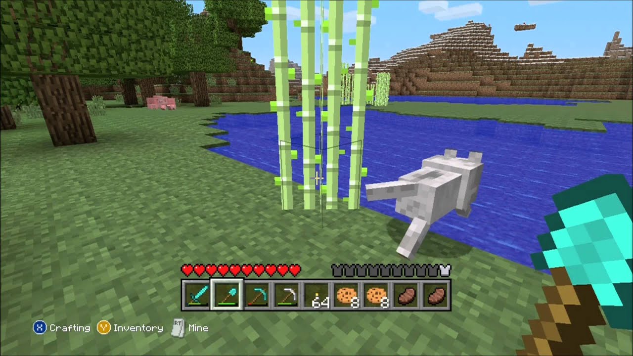 Let's Play Minecraft Xbox 360: Part 22 Catch a Fish befriend some ...