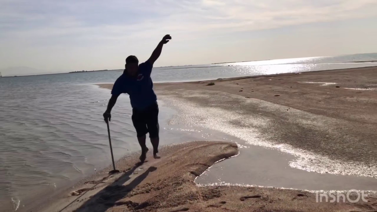 AL RAYIS BEACH SAUDI CLEANEST AND ABUNDANT CRABS - YouTube